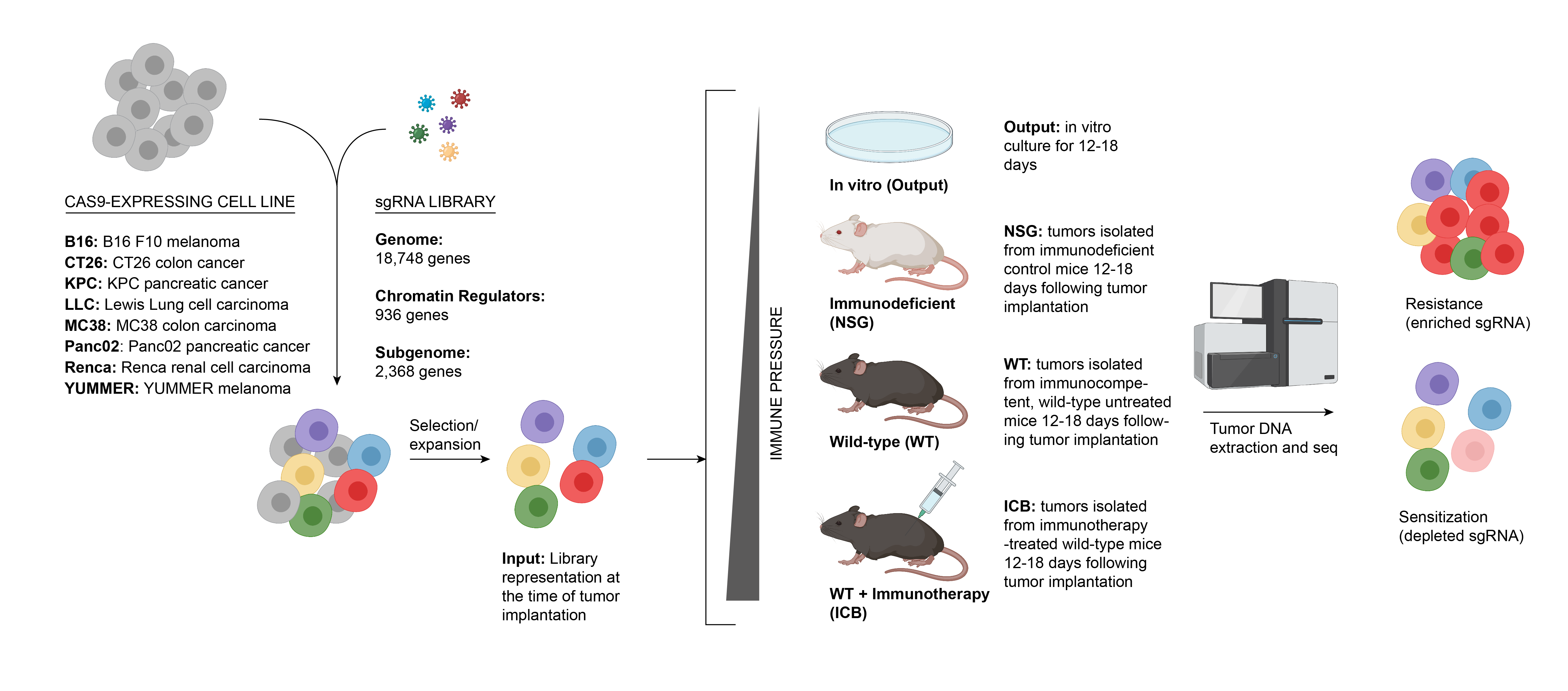 For more information, view our publication at Nature Immunology: